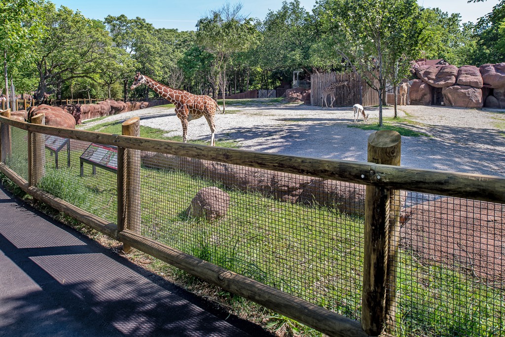 Saint Louis Zoo Red Rocks Fence - The UP Companies